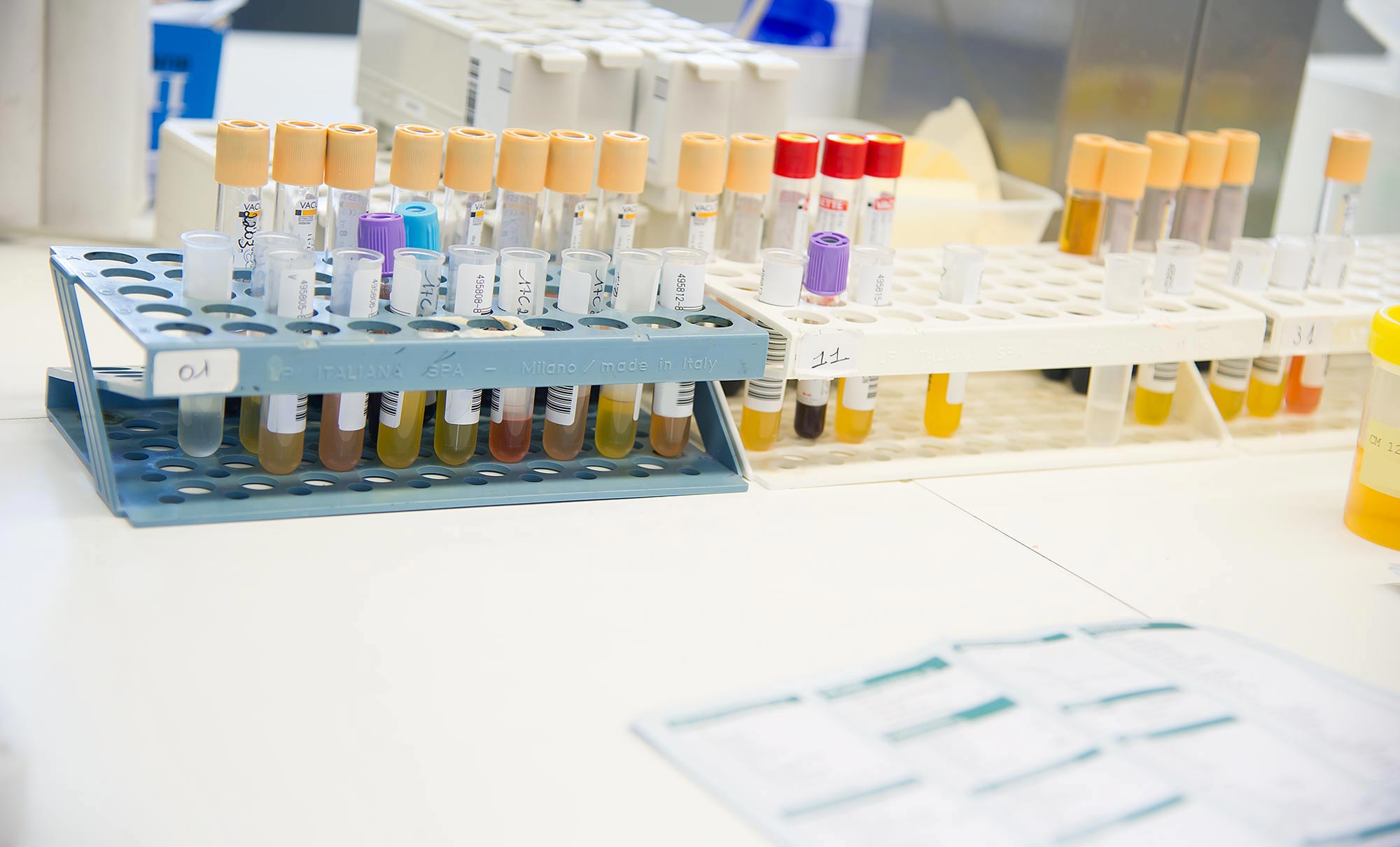 Contact | Labo Medische Biologie